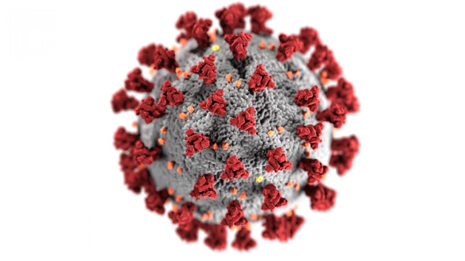 First reported case of a COVID-19 variant in the U.S. popped up in ...