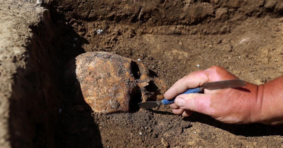 Fossil of human ancestor ‘Dragon Man’ is ‘one of the most important yet ...