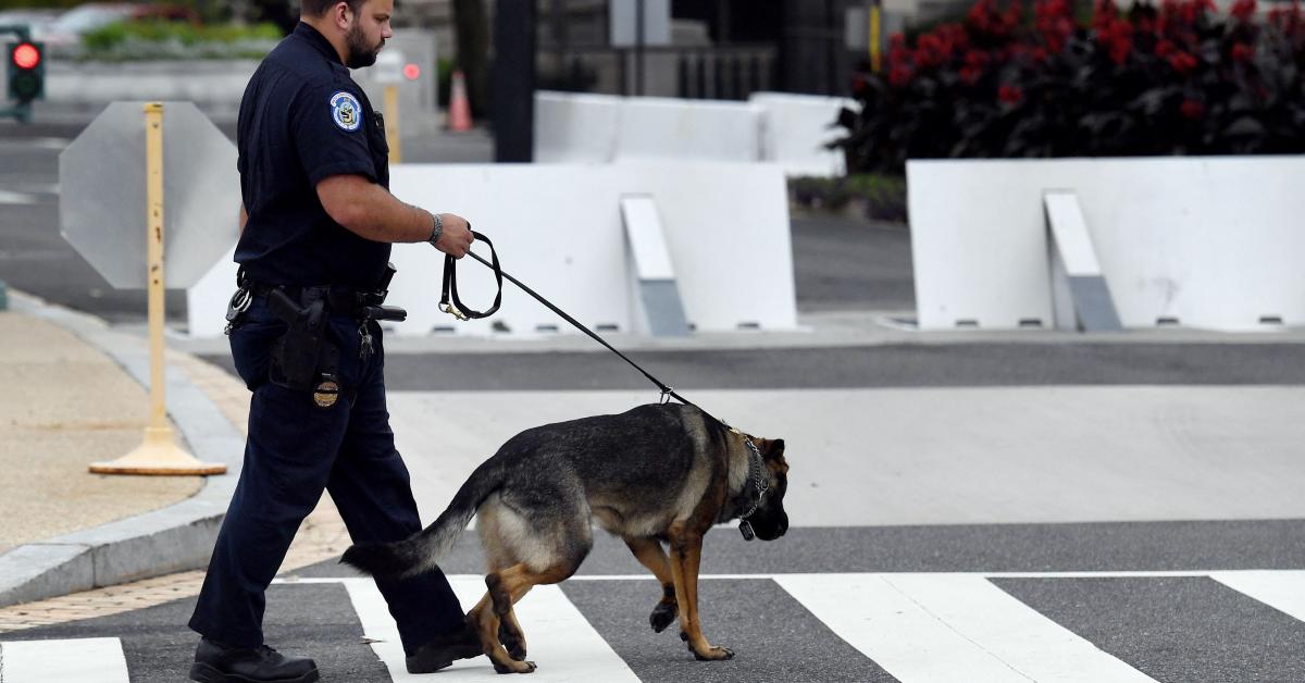 FBI investigating police K9 attack on black man during arrest | Just ...