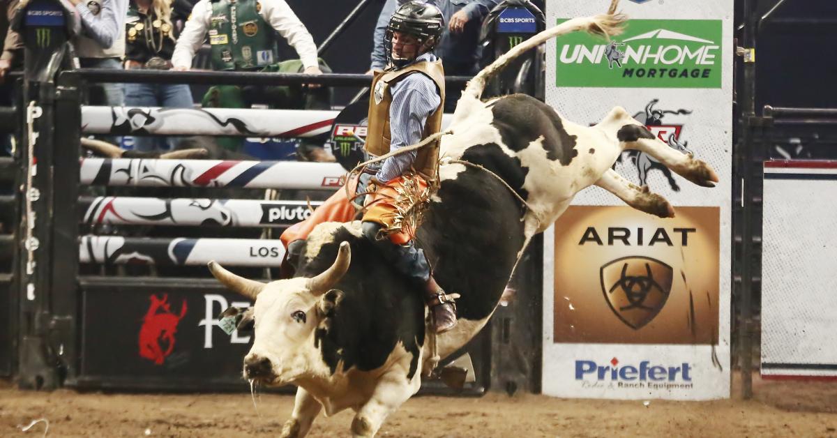 Rodeo bull escapes, injures six people in California | Just The News