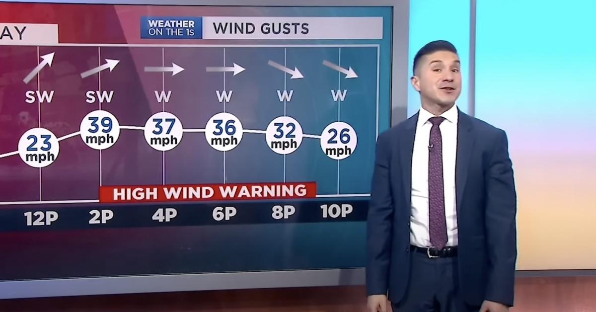 New York weatherman fired after webcam sex tape leaked to news network ...