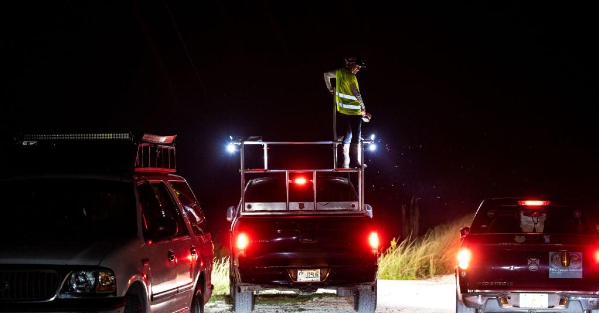 Florida man wins $10k state contest to remove invasive pythons from ...