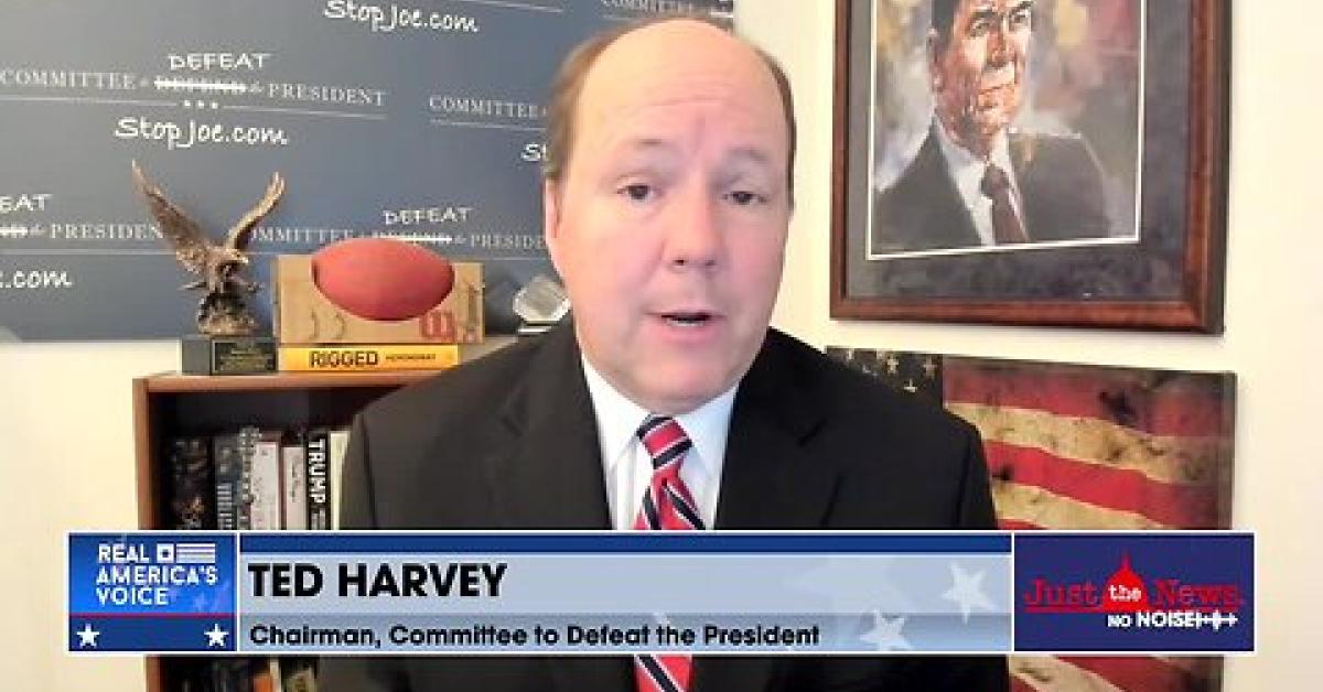 Ted Harvey reacts to Hunter Biden plea hearing | Just The News