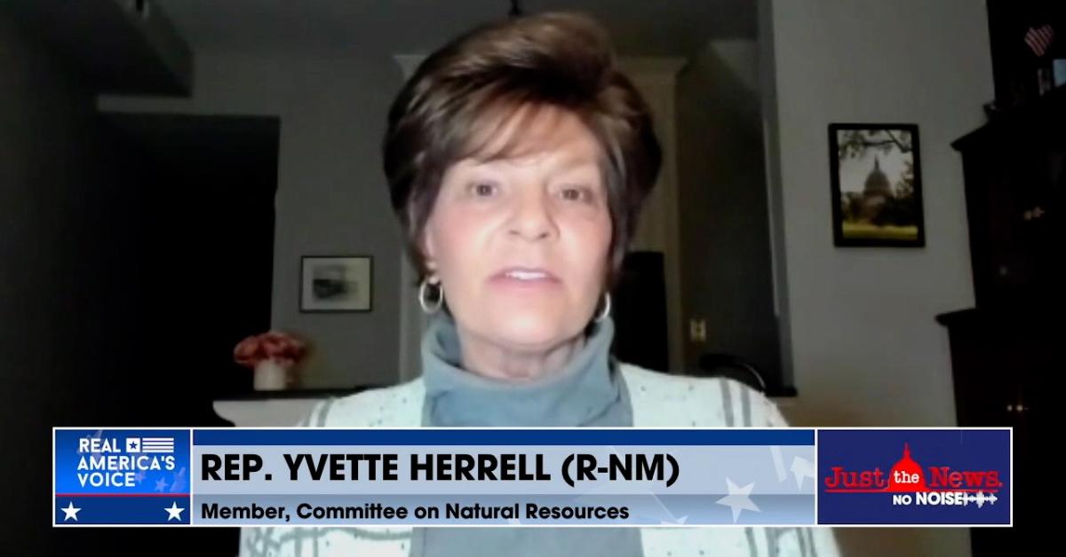 Representative Yvette Herrel explains why she thinks Mitch McConnell ...
