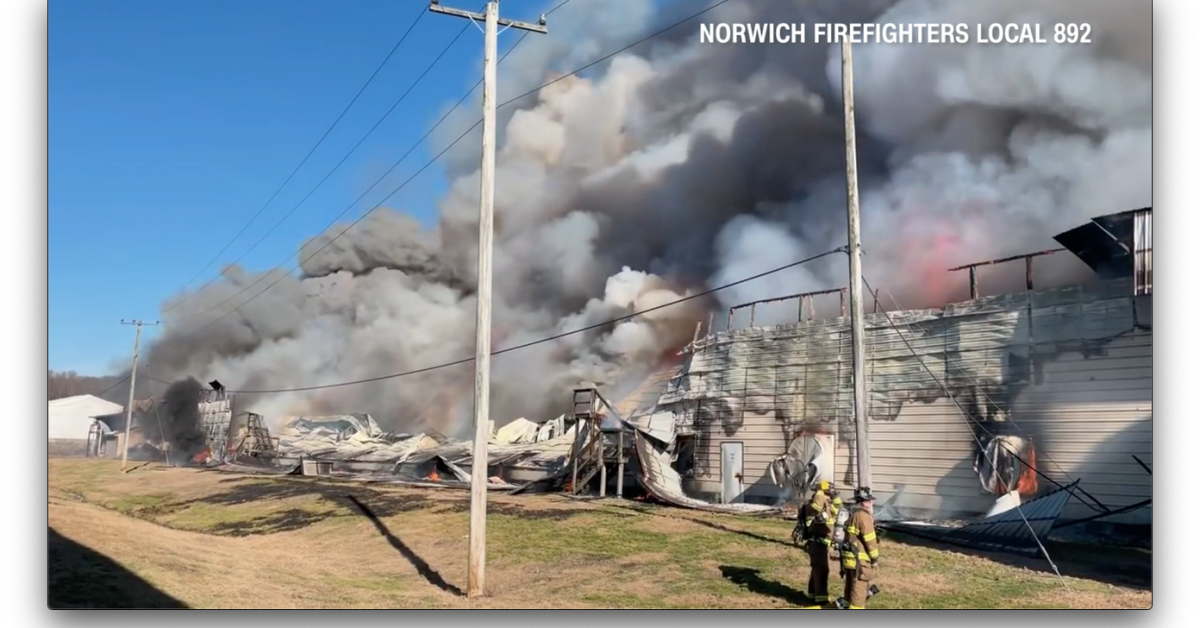 Massive fire erupts in Conneticut egg farm | Just The News