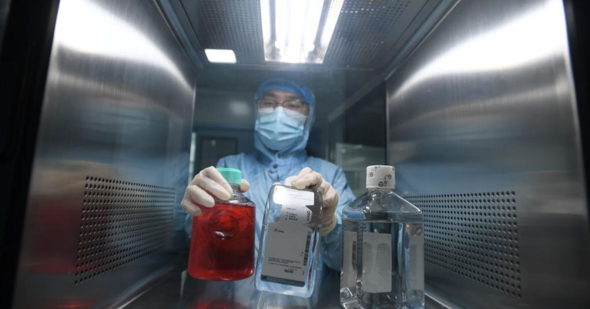 NIH renews grant to organization that funded coronavirus experiments in ...