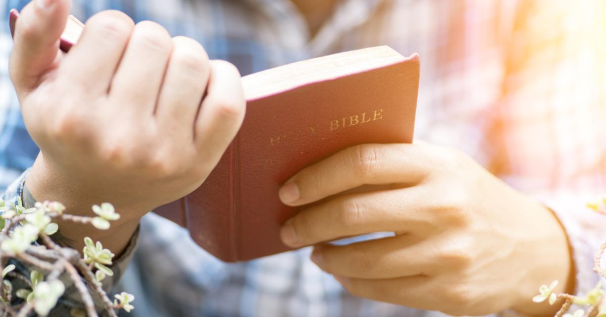 Utah school district restores Bible to school libraries following ...