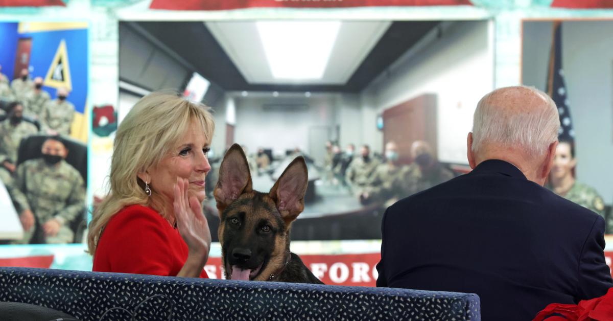 Biden's German shepherd 'Commander' attacked Secret Service at least 10 ...