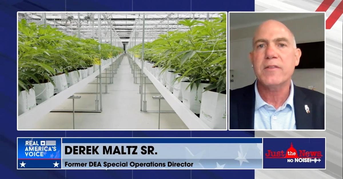 Derek Maltz Sr. says China’s marijuana push in US is attempt to ...