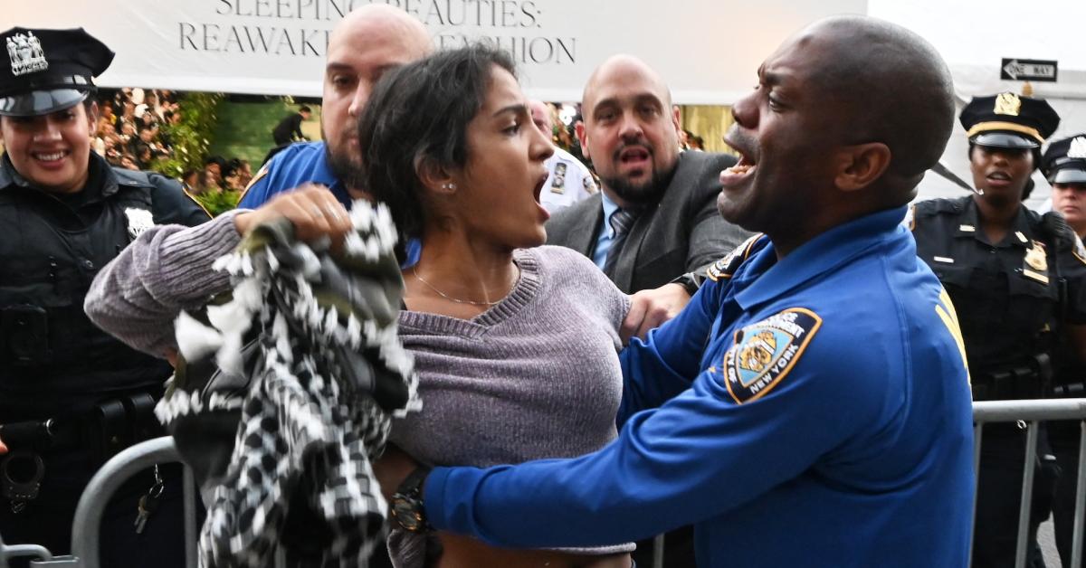Pro-Israel advocates assaulted during demonstration near Met Gala in ...