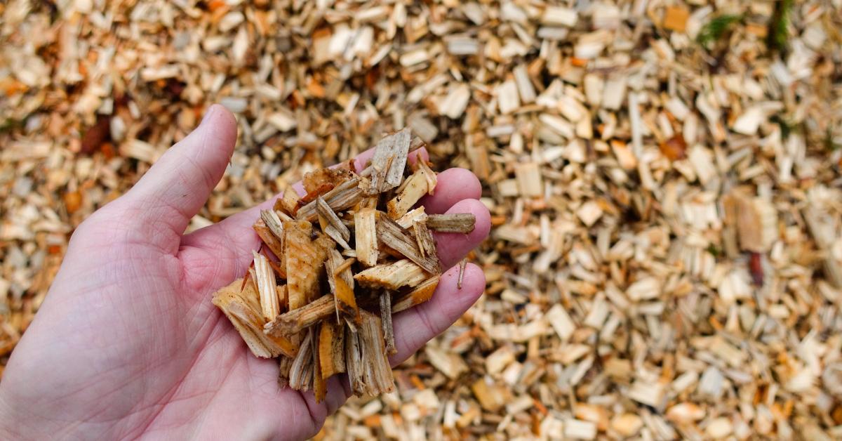 More than 70 unemployed following biomass plant shutdown | Just The News