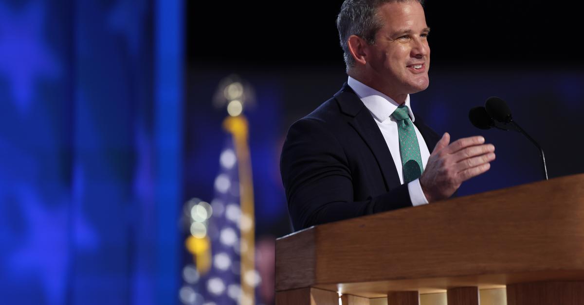 Adam Kinzinger says Democratic Party is 'just as patriotic' as ...
