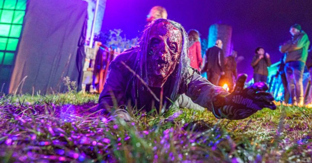 'Zombie Chevron': Feds have unchecked power under appeals ruling on ...