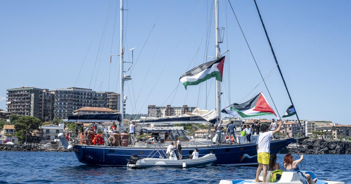 Elizabeth Coplon: Greta Thunberg is first person to be kidnapped with ...