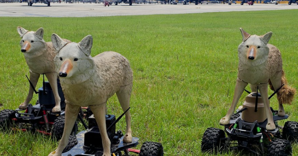 Army using latest military technology to reduce aircraft birdstrikes ...