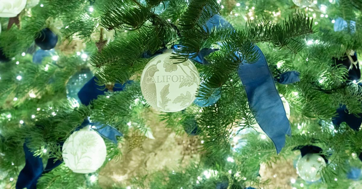Watch Live: President Trump participates in National Christmas Tree ...