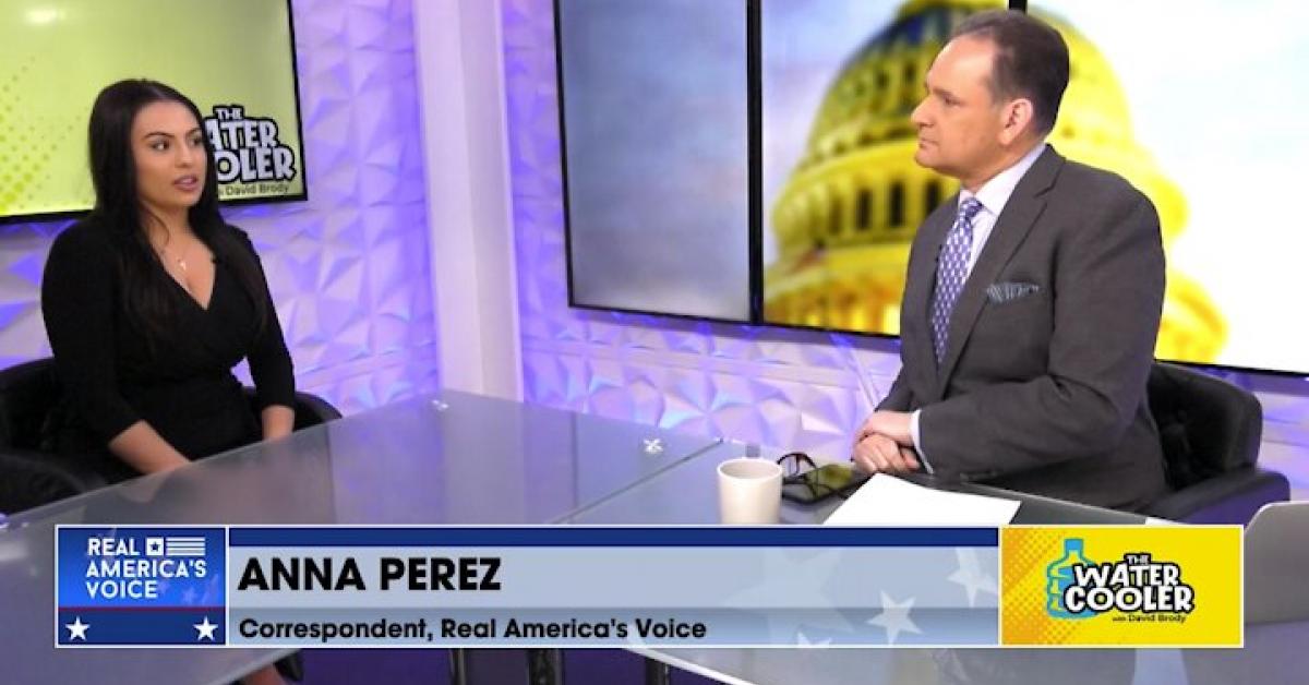 Anna Perez on Texas Suing Biden Administration for handling of Border ...
