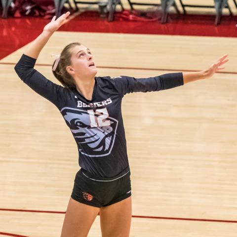 Rep.-elect Juan Ciscomani nominates McCarthy for House speaker ahead of ...